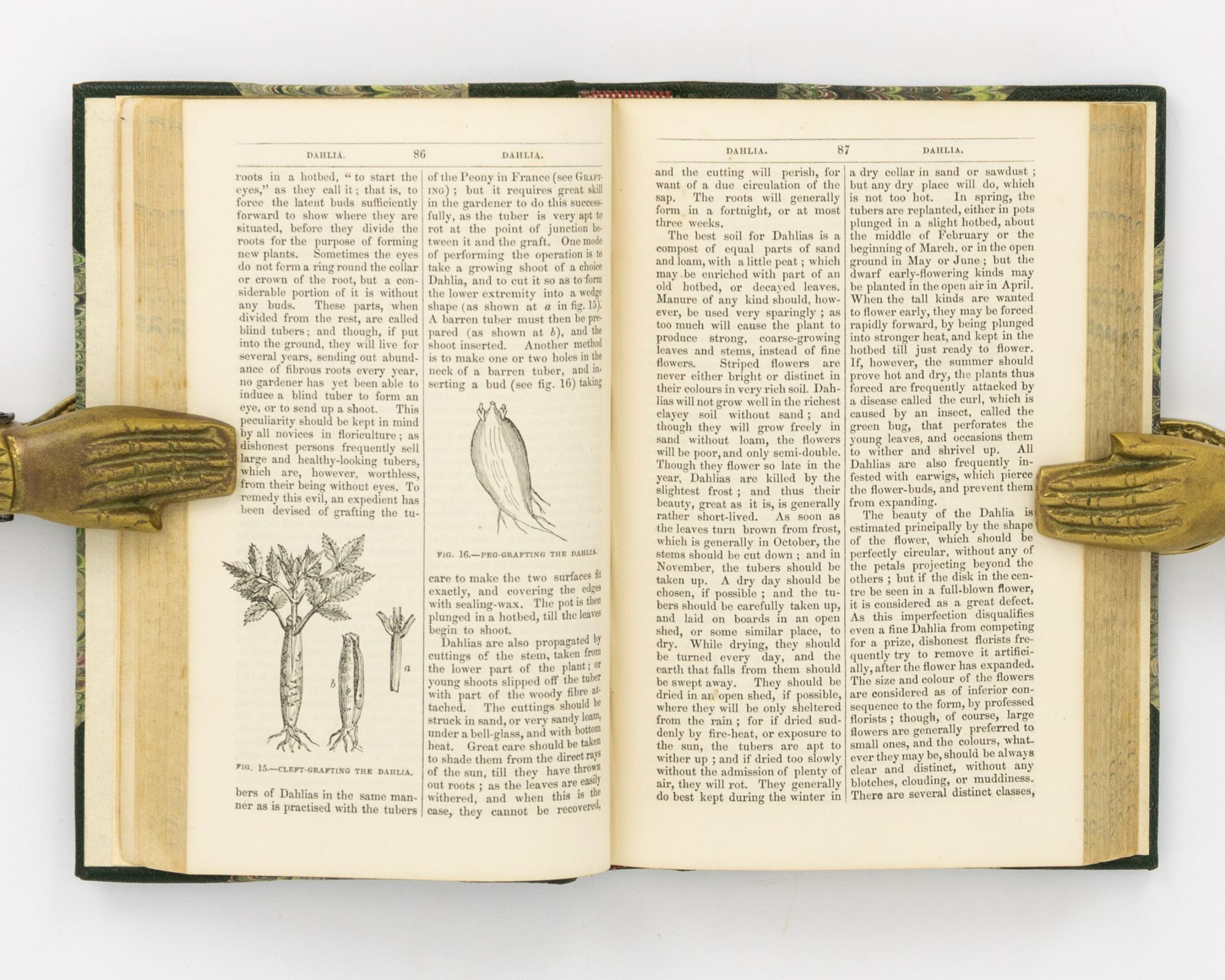 The Ladies' Companion to the Flower-Garden. Being an Alphabetical ...