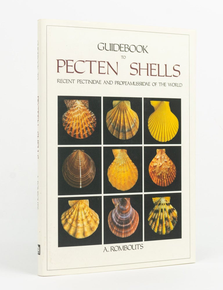 Guidebook to Pecten Shells. Recent Pectinidae and Propeamussiidae of ...